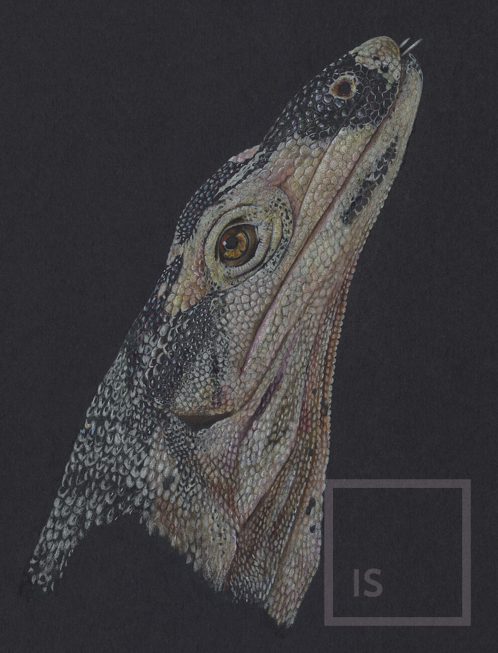 Featured Artist: Helen Grey Art and Science | Image Science