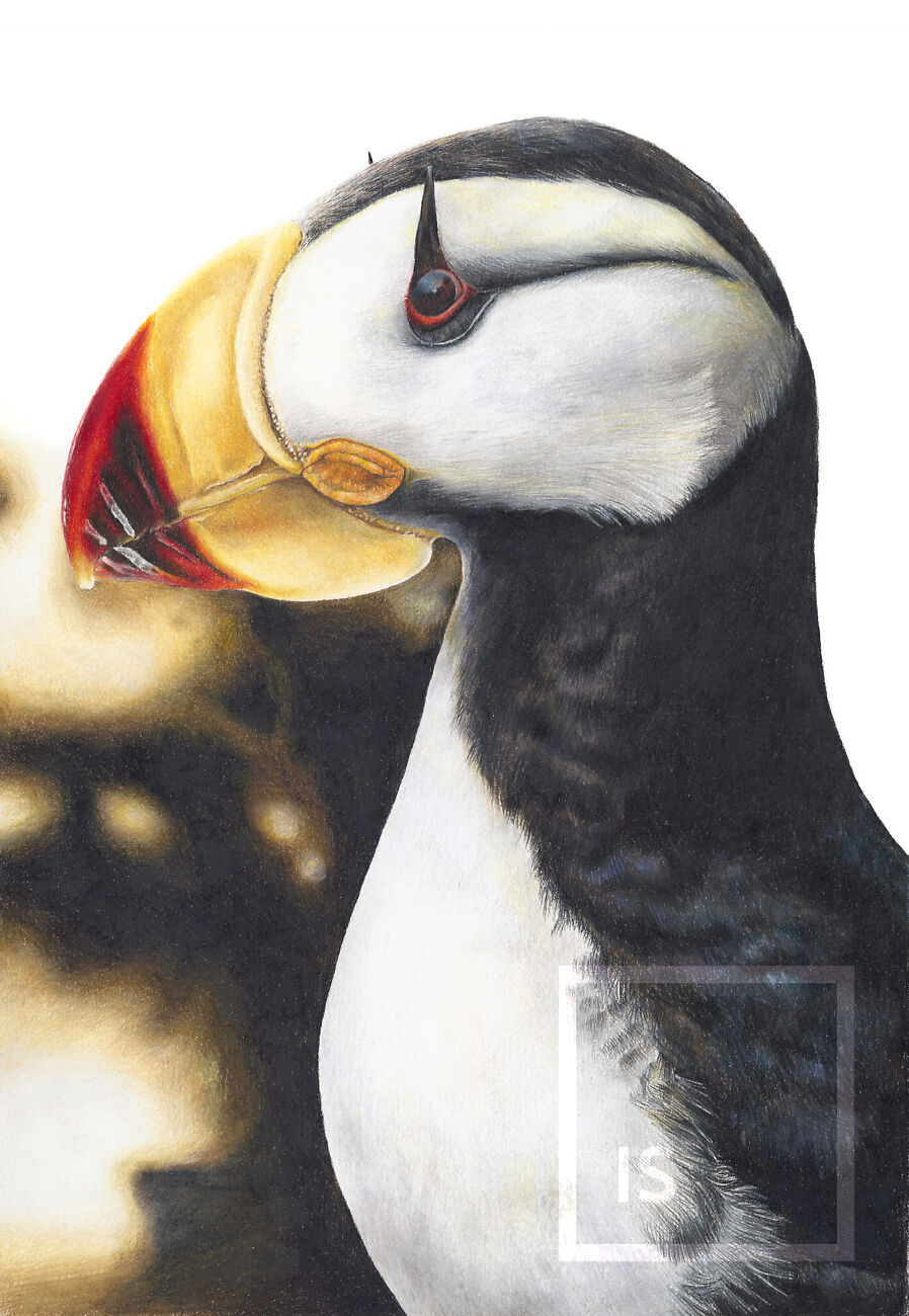 Featured Artist: Helen Grey Art and Science | Image Science