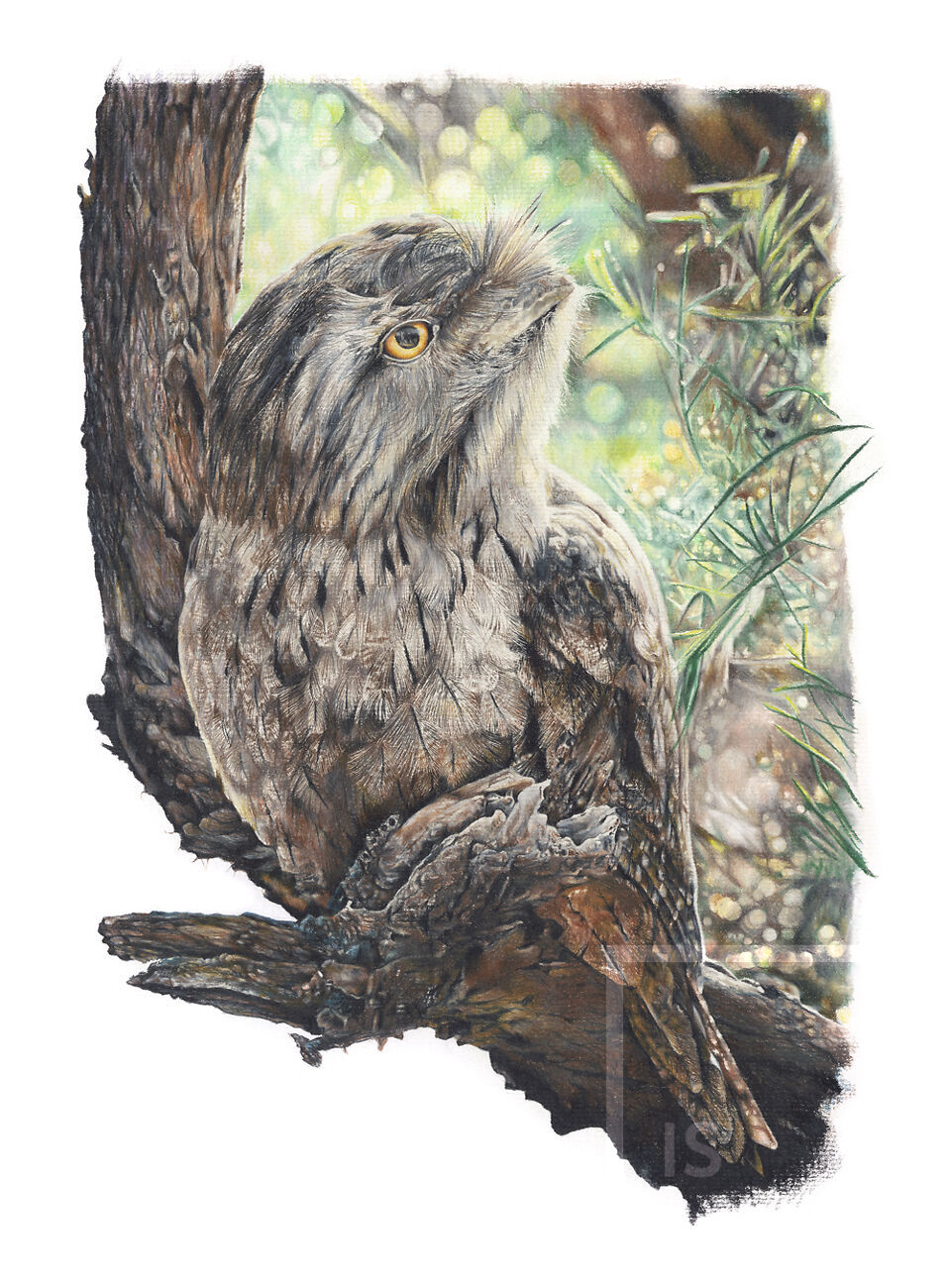 Featured Artist: Helen Grey Art and Science | Image Science