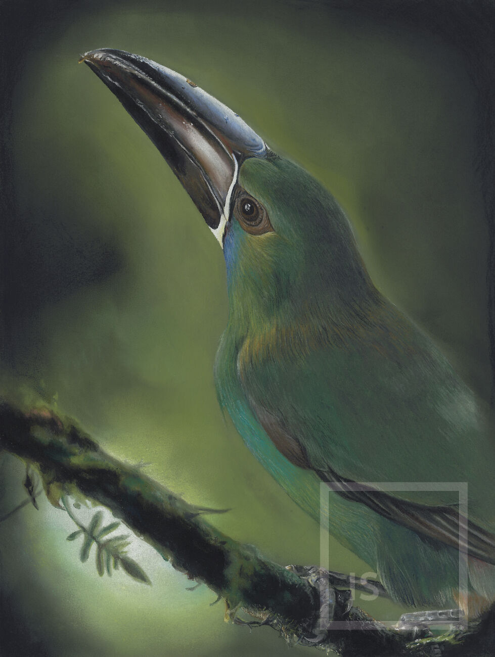 Featured Artist: Helen Grey Art and Science | Image Science