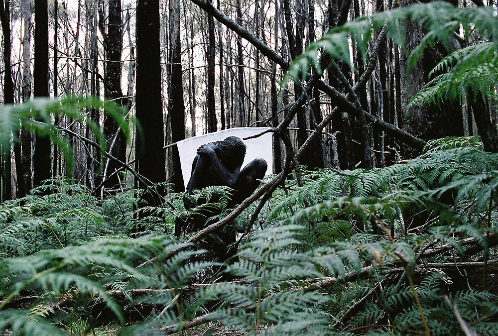 Featured Artist: Ilona Nelson | Image Science