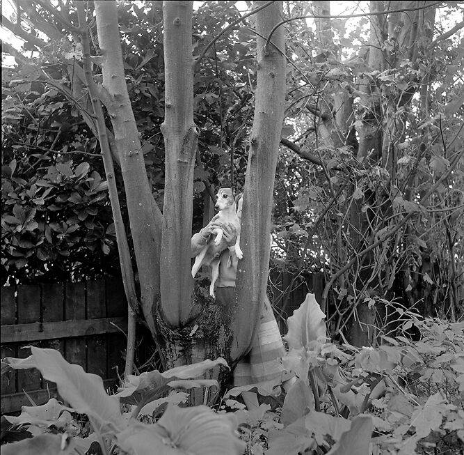 Featured Artist: Kathryn McCool | Image Science