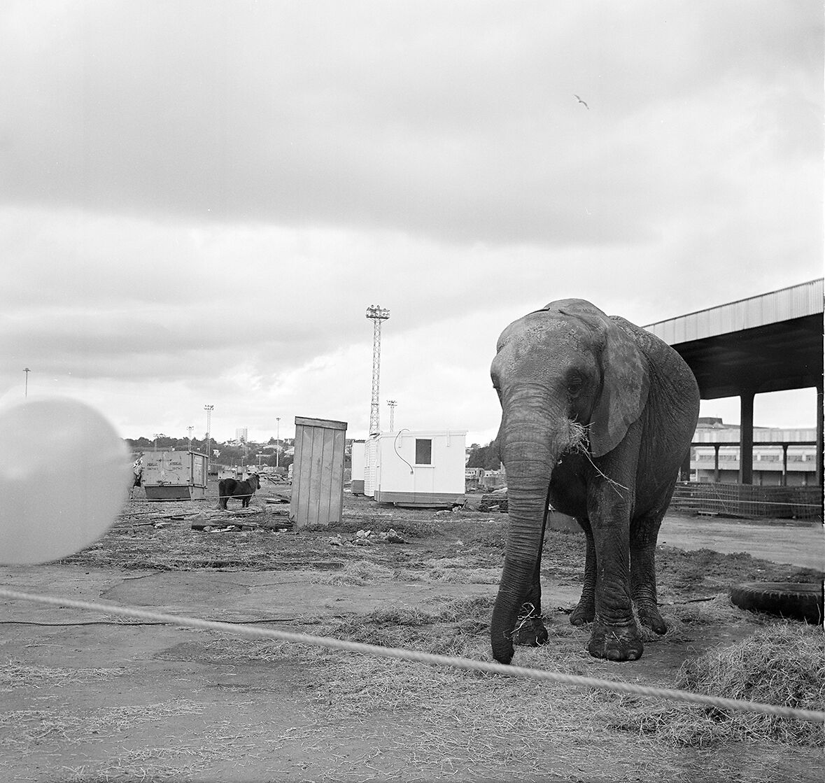 Featured Artist: Kathryn McCool | Image Science