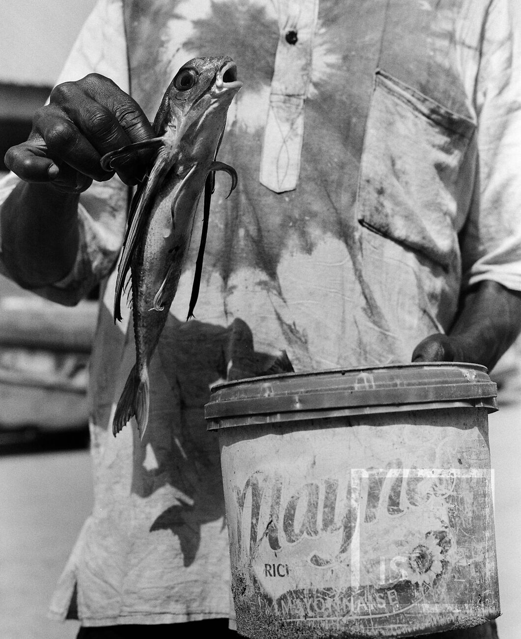 Featured Artist: Lilah Benetti | Image Science