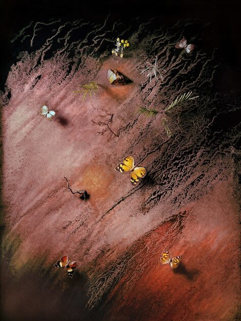 Featured Artist: Peta Clancy | Image Science