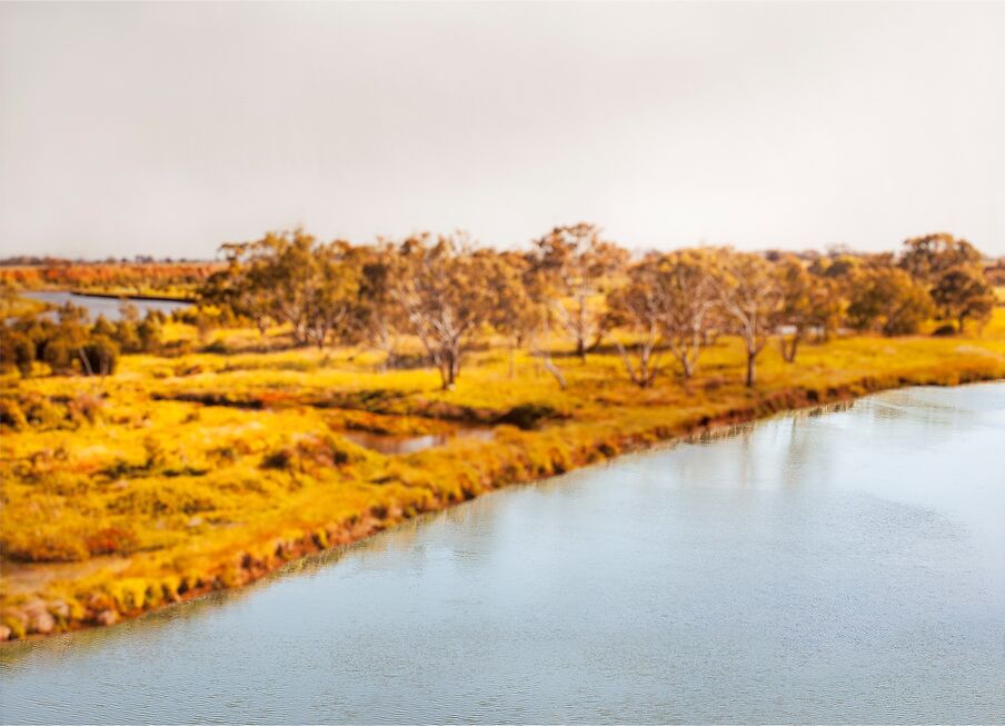 Featured Artist: Peta Clancy | Image Science