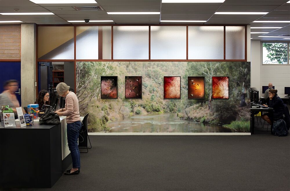 Featured Artist: Peta Clancy | Image Science