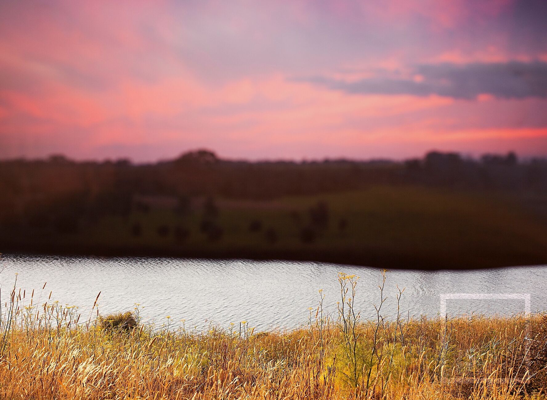 Featured Artist: Peta Clancy | Image Science