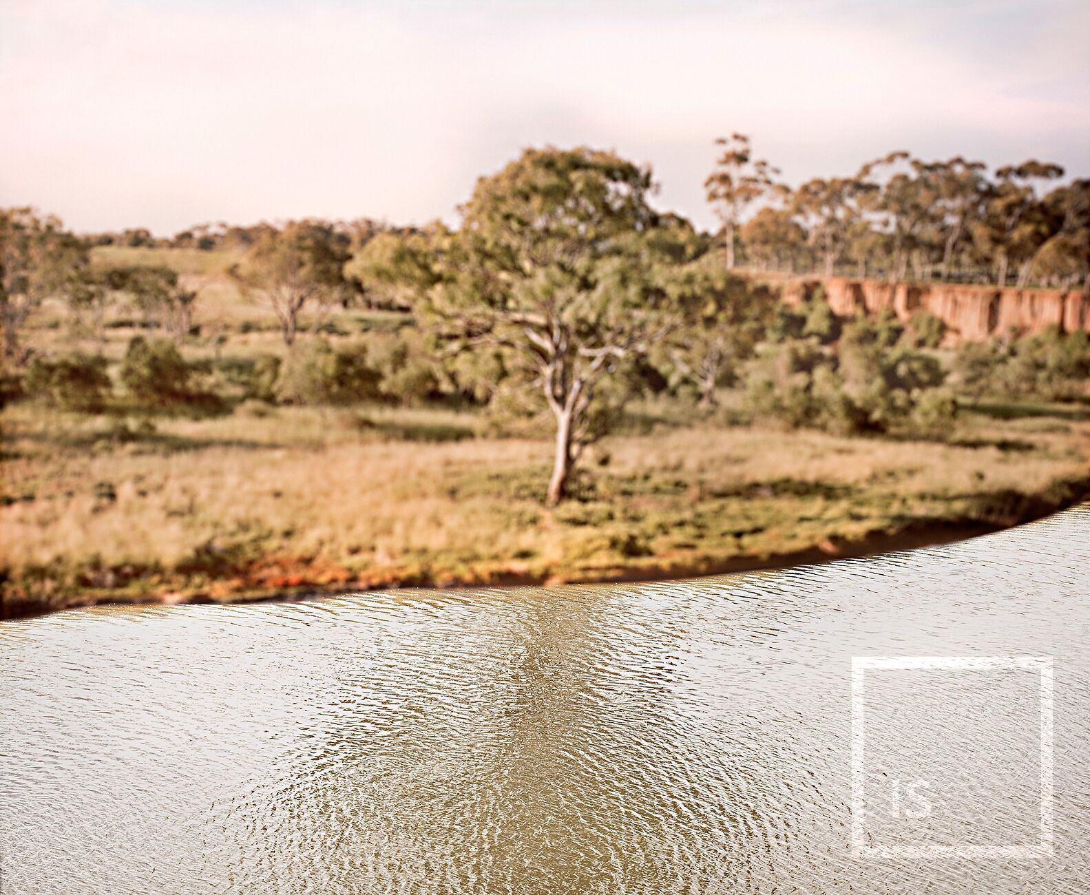 Featured Artist: Peta Clancy | Image Science