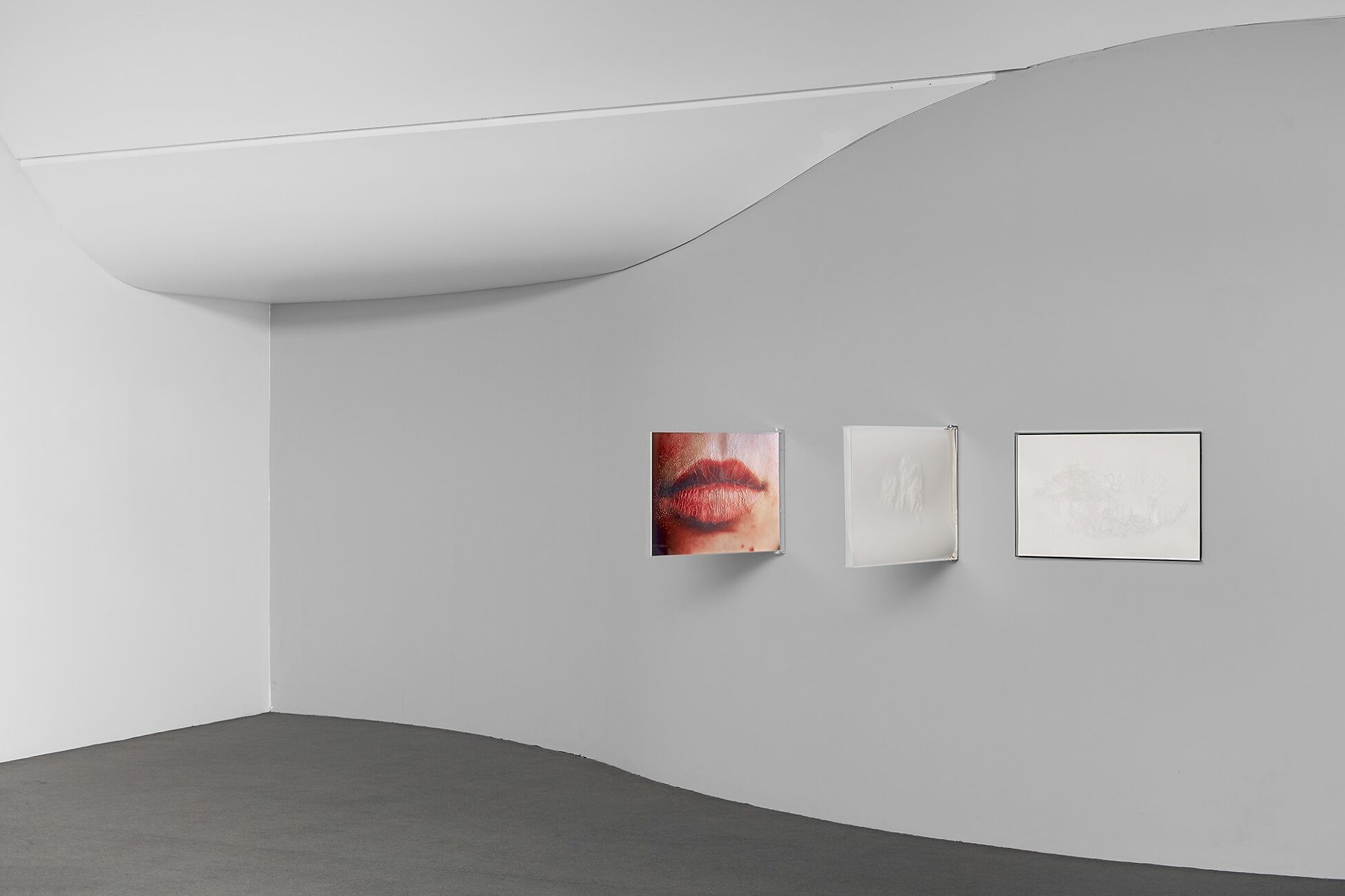 Featured Artist: Peta Clancy | Image Science