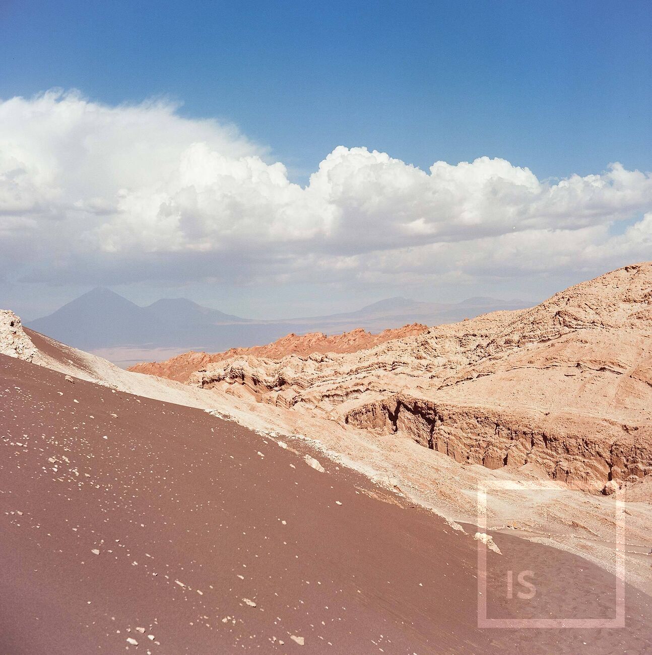 Featured Artist: Prudence Bansemer | Image Science