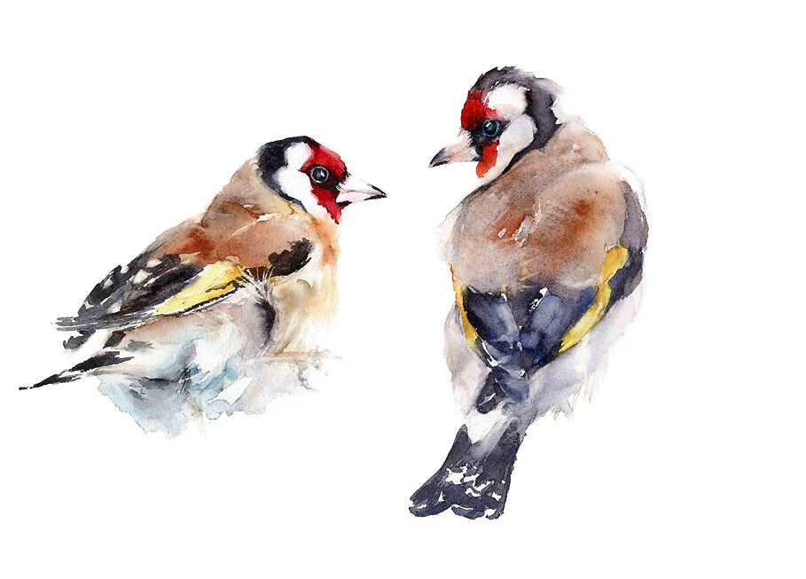 Featured Artist - Qing Zhang of Choose Arts | Image Science