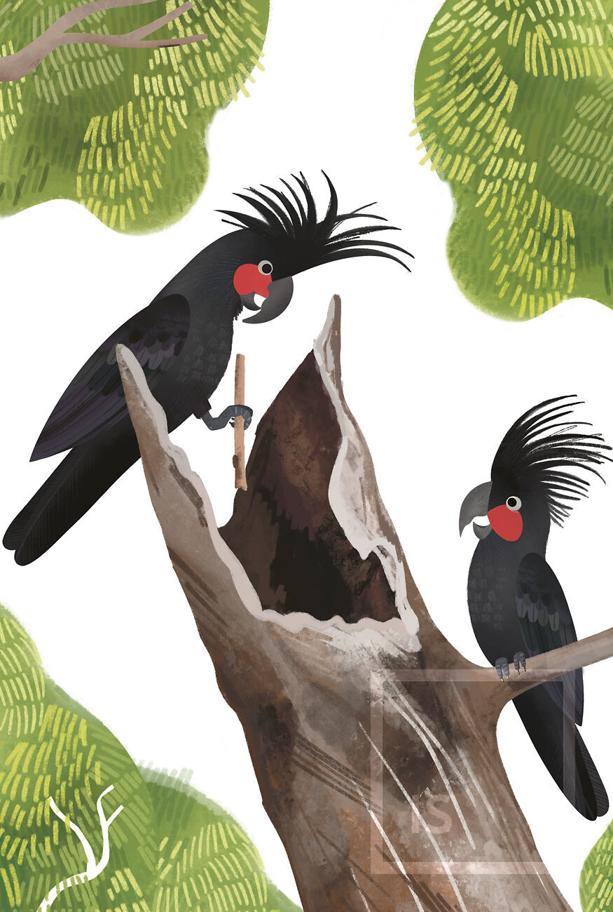 Featured Artist - Sarah Allen | Image Science