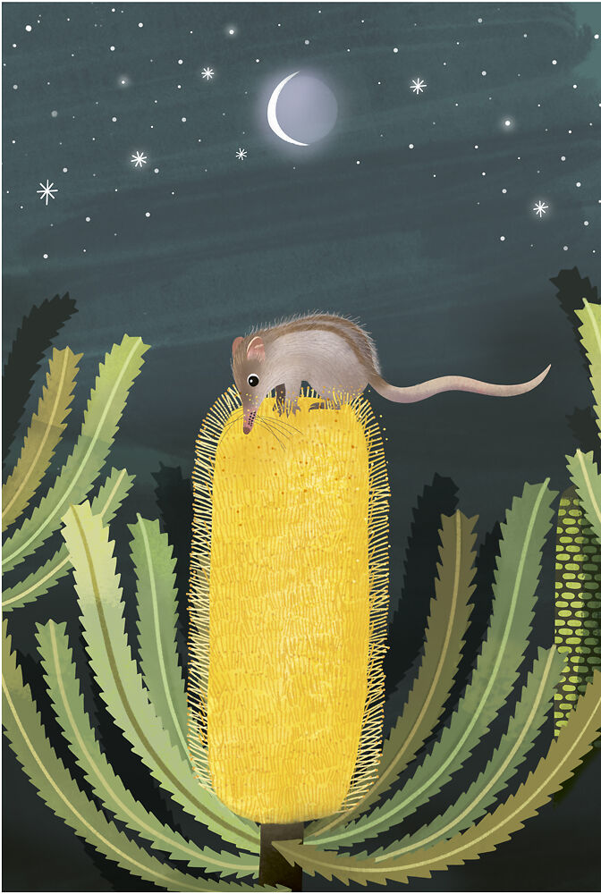 Featured Artist - Sarah Allen | Image Science