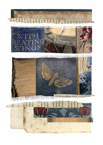 Featured Artist: Susannah Low | Image Science