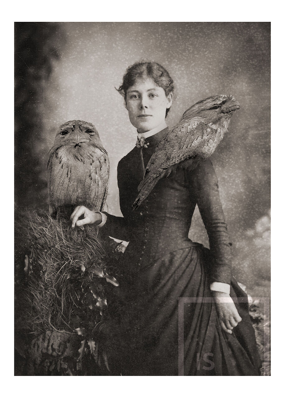 Featured Artist: Susannah Low | Image Science