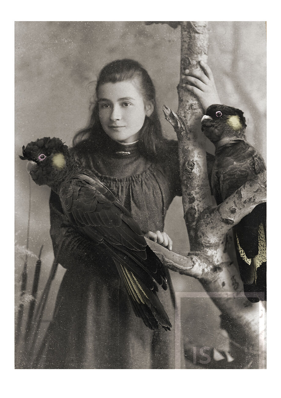 Featured Artist: Susannah Low | Image Science