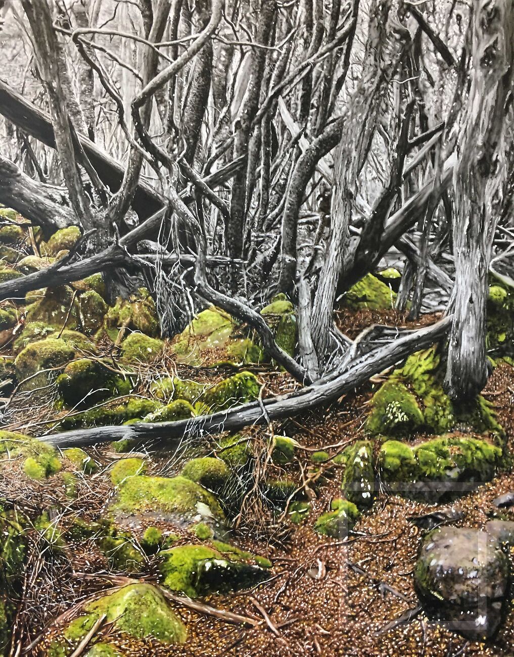 Featured Artist: Todd Simpson | Image Science