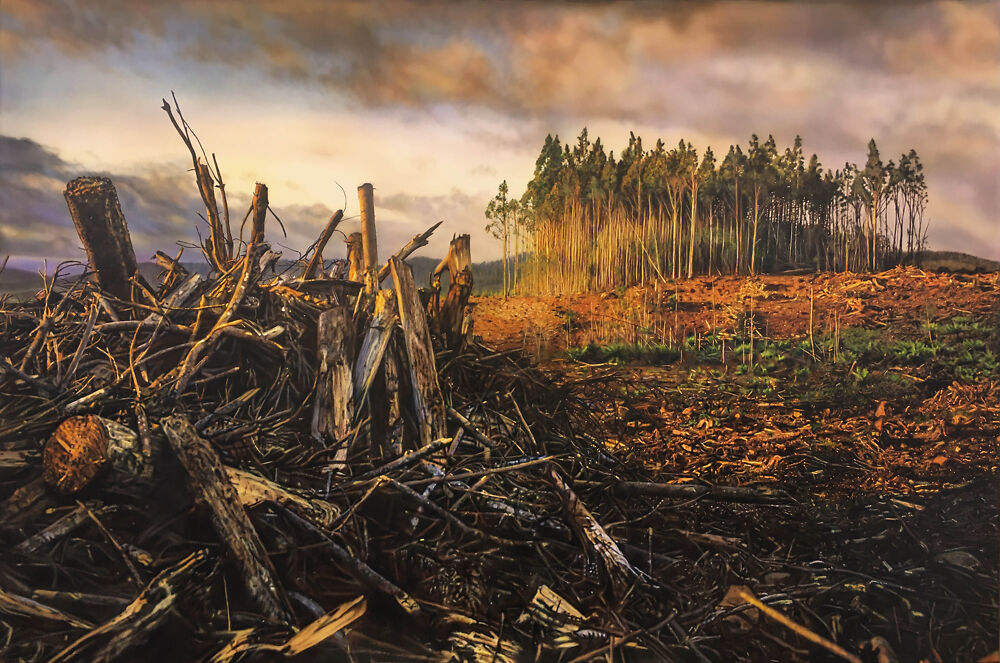 Featured Artist: Todd Simpson | Image Science