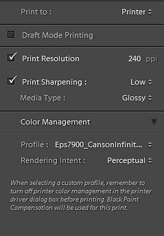 Using ICC Output Profiles | Image Science