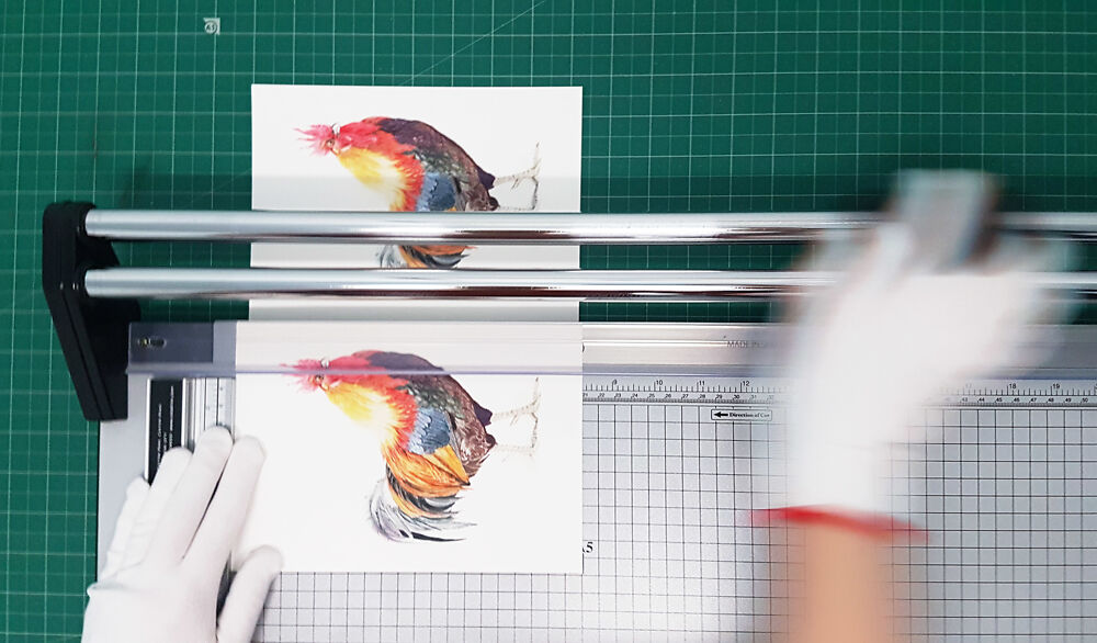 Guide To Setting Up A5 Files For Print | Image Science