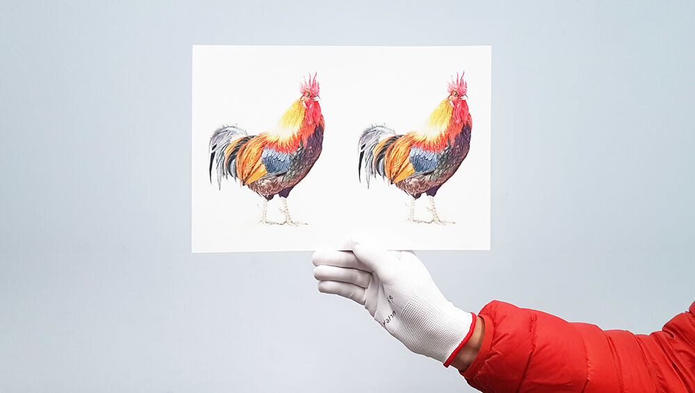 Guide To Setting Up A5 Files For Print | Image Science