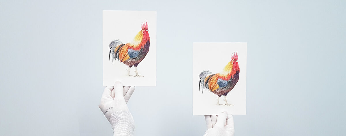 Guide To Setting Up A5 Files For Print | Image Science