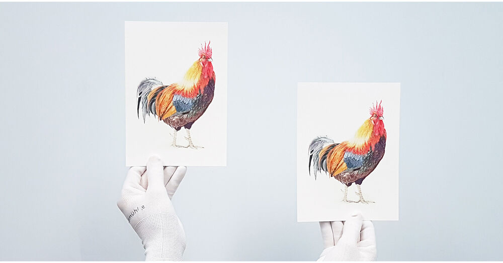 Guide To Setting Up A5 Files For Print | Image Science