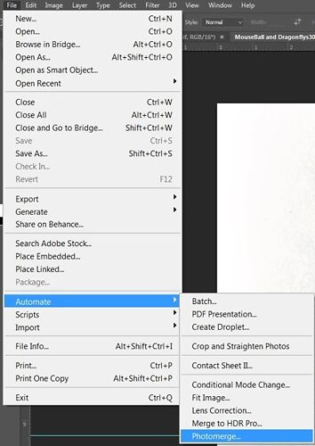 How to Merge Images Together Seamlessly | Image Science