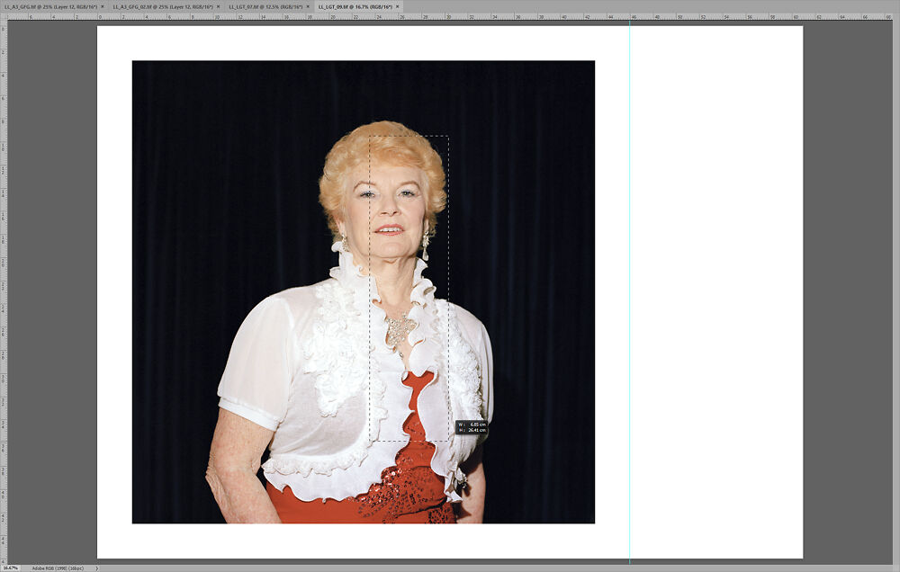 Preparing Test Prints & Test Strips | Image Science