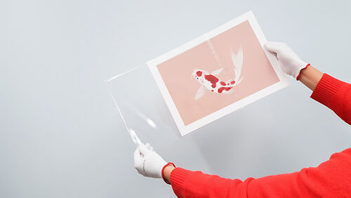 Drop Shipping | Image Science