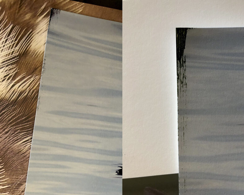 borderless printing ink pad