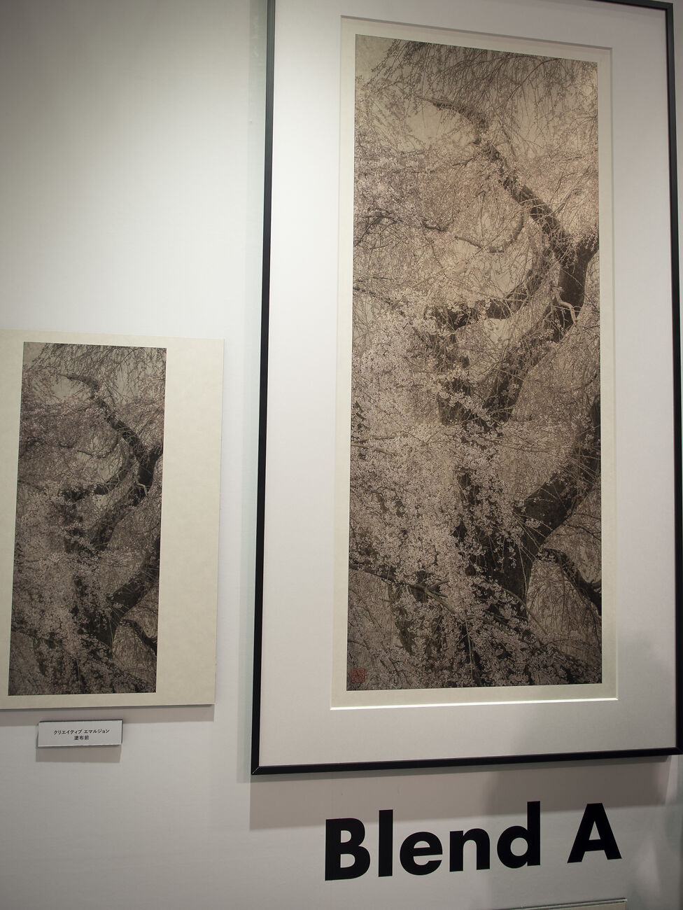 Ilford Galerie Creative Emulsion | Image Science