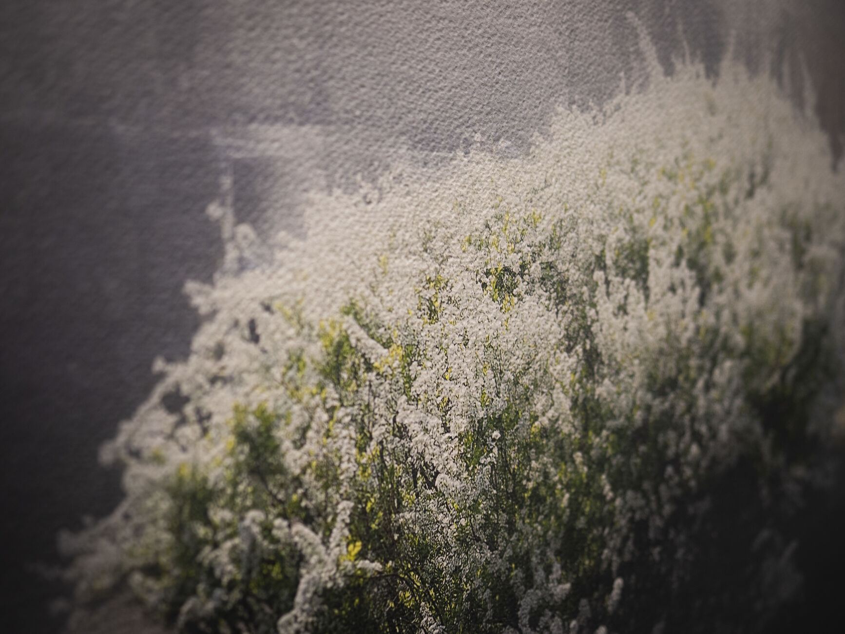 Ilford Galerie Matt Cotton Medina 320gsm | Image Science