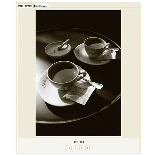Mirage Professional Print Software for Epson Printers… | Image Science