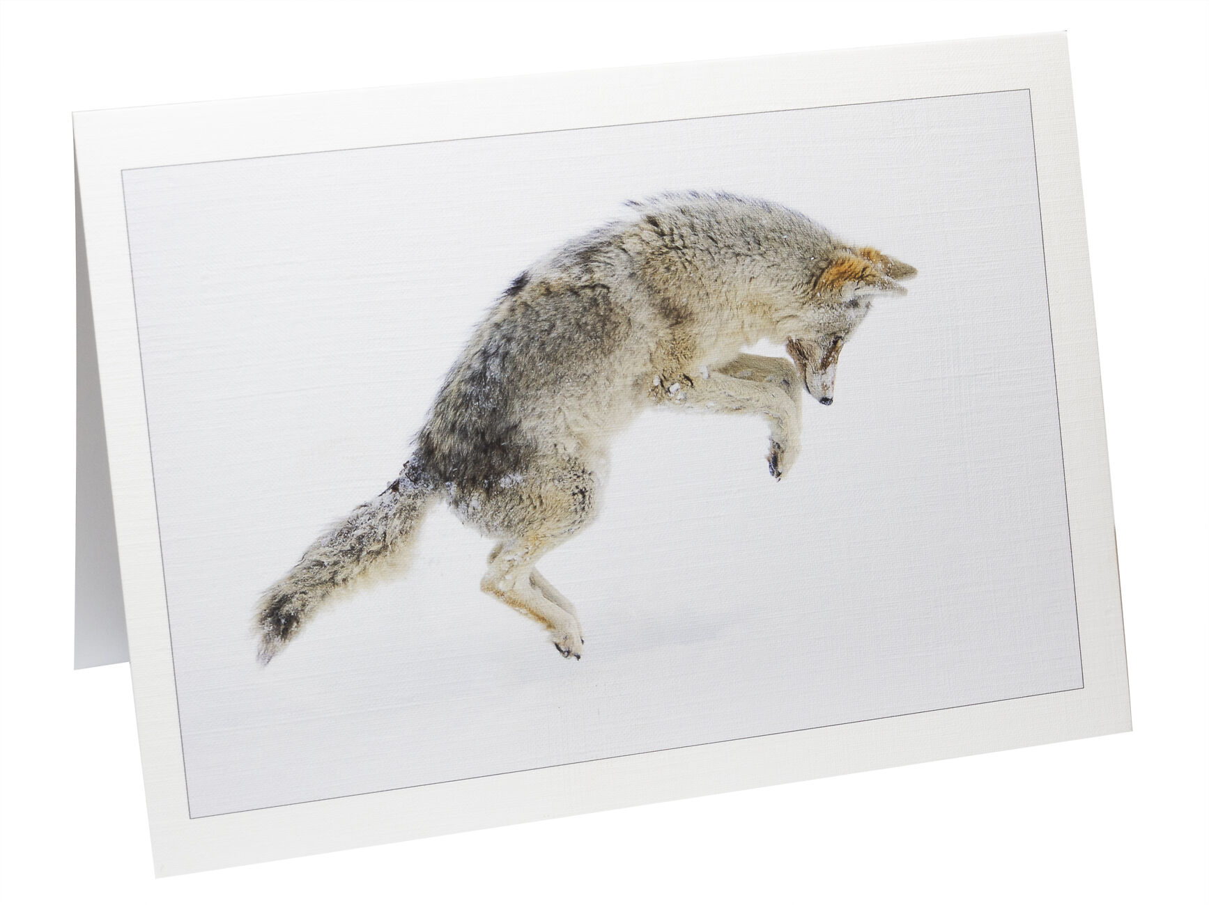 Red River Linen Cards 240gsm | Image Science