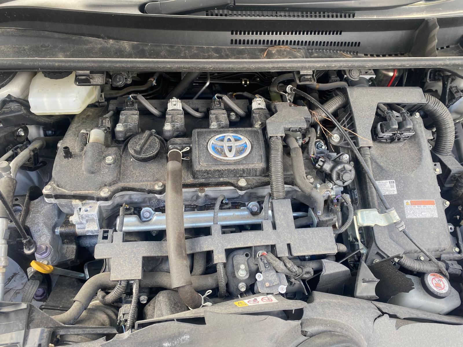 Pwr Dr Wind Switch Corolla Toyota 2021