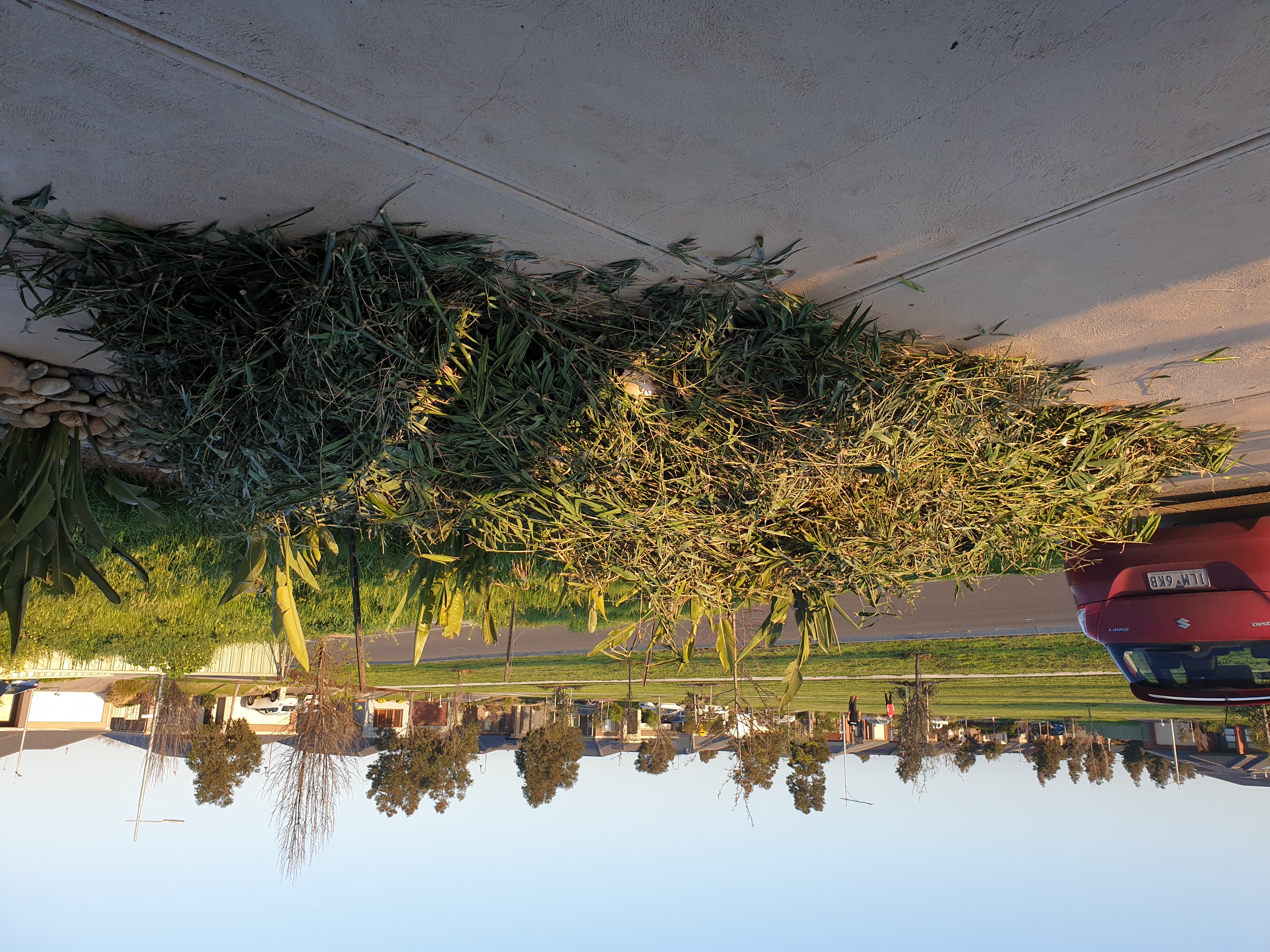 Mulch Bamboo S Cut Approx Cubic: Gardener required in Wyndham Vale, VIC