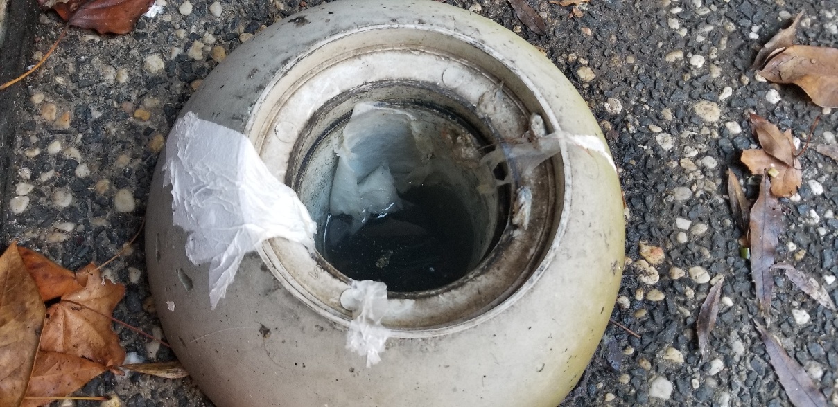 Sewer Pipe Broken Boundary Trap Swift: Builder required in Donvale, VIC