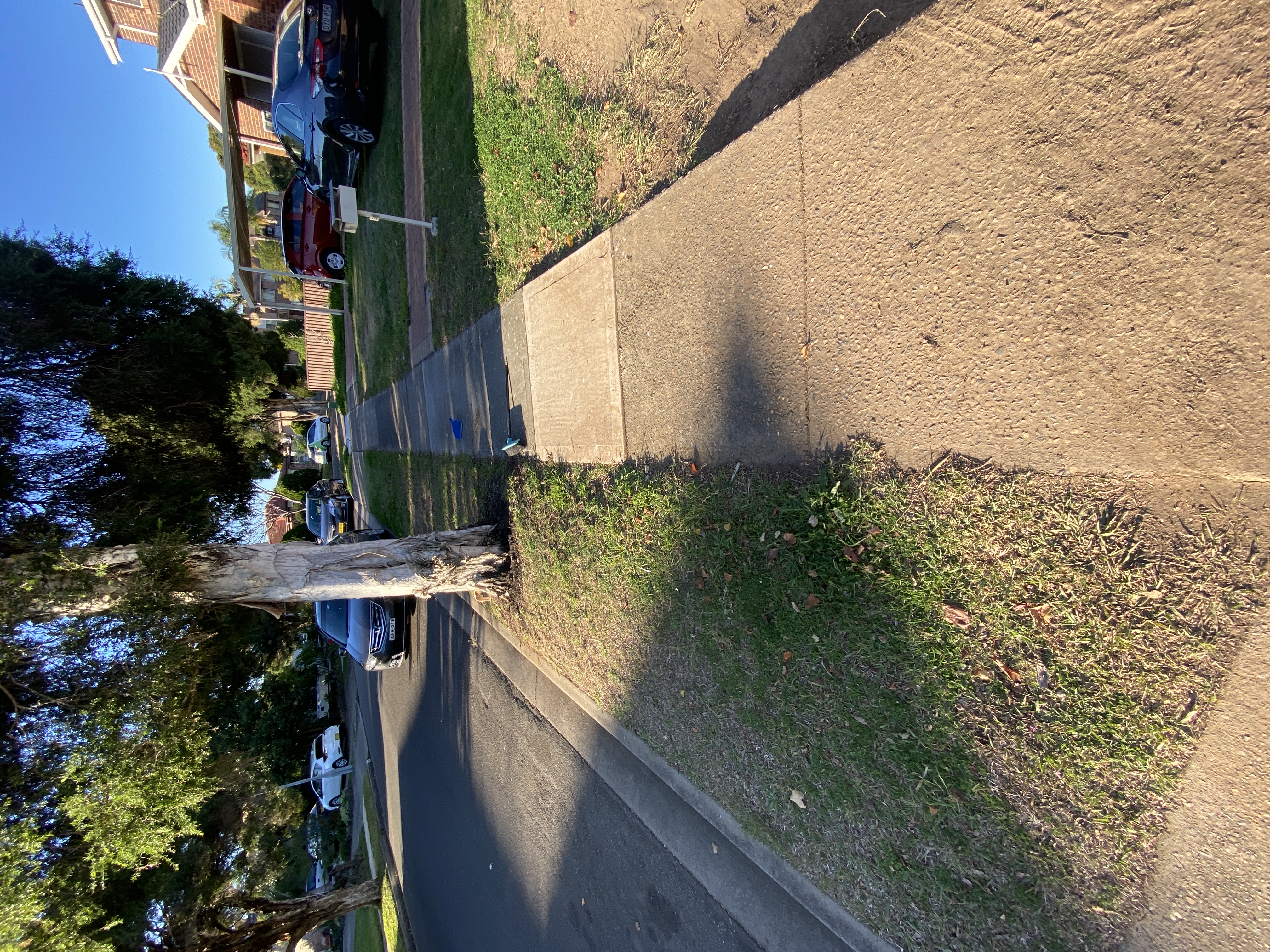 Square Patches Grass M X Small: Gardener required in Wakeley, NSW for ...