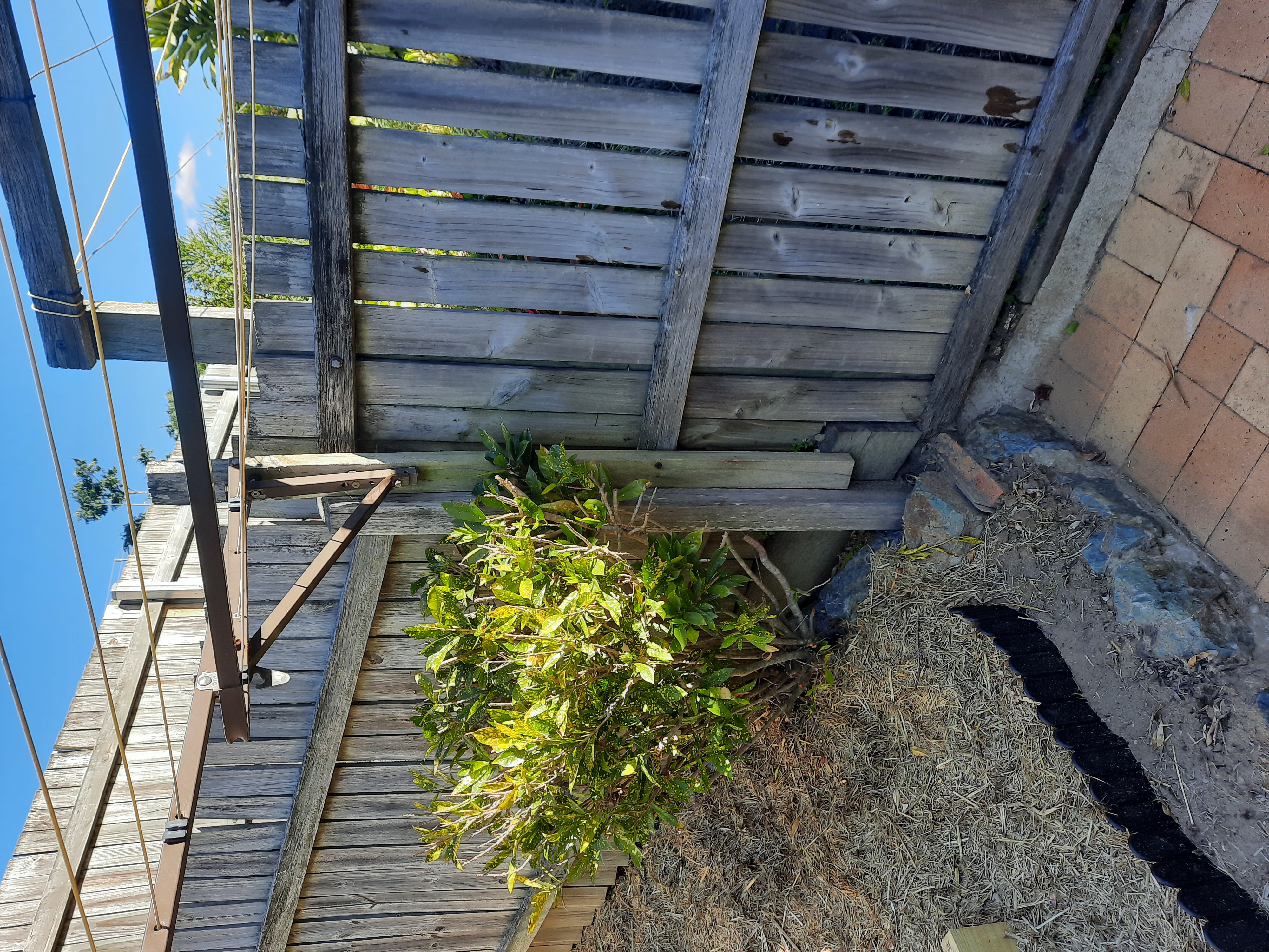 Remove Dispose Existing Clothes Line Photos: Handyman required in ...