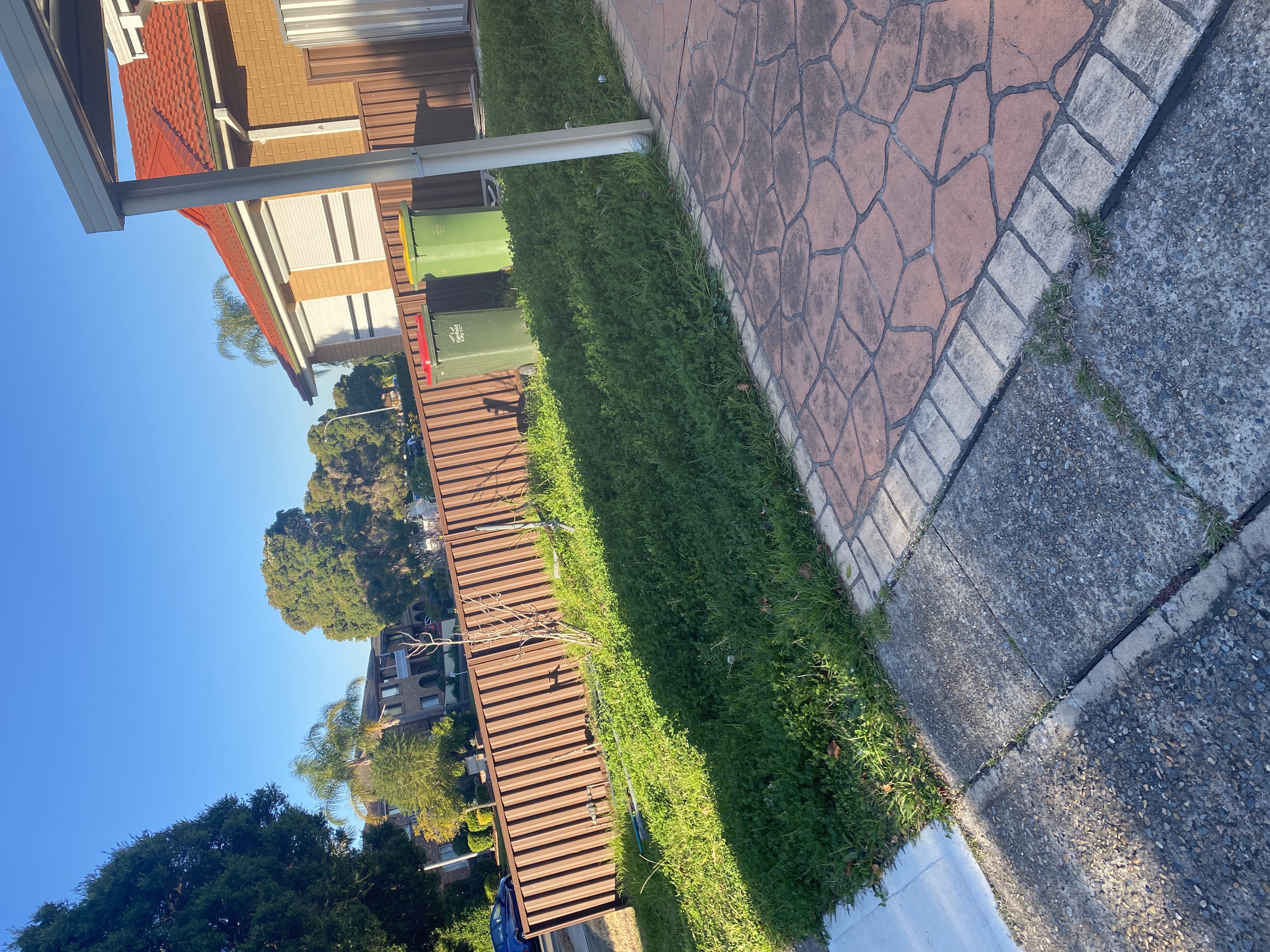 Square Patches Grass M X Small: Gardener required in Wakeley, NSW for ...