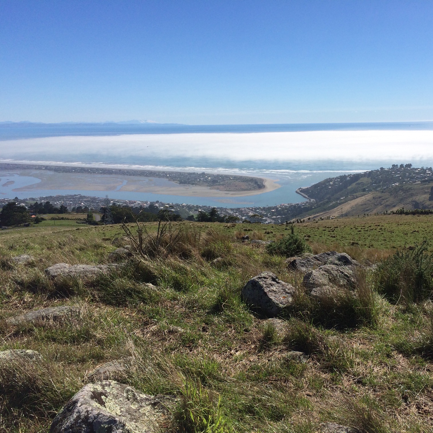 John Britten Reserve, Trip #59 – Critter Club – Journal