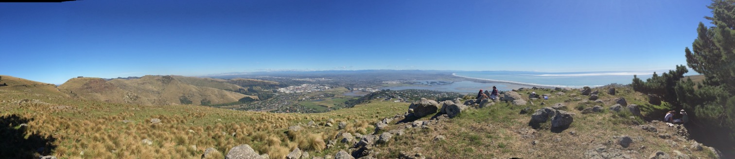 John Britten Reserve, Trip #59 – Critter Club – Journal