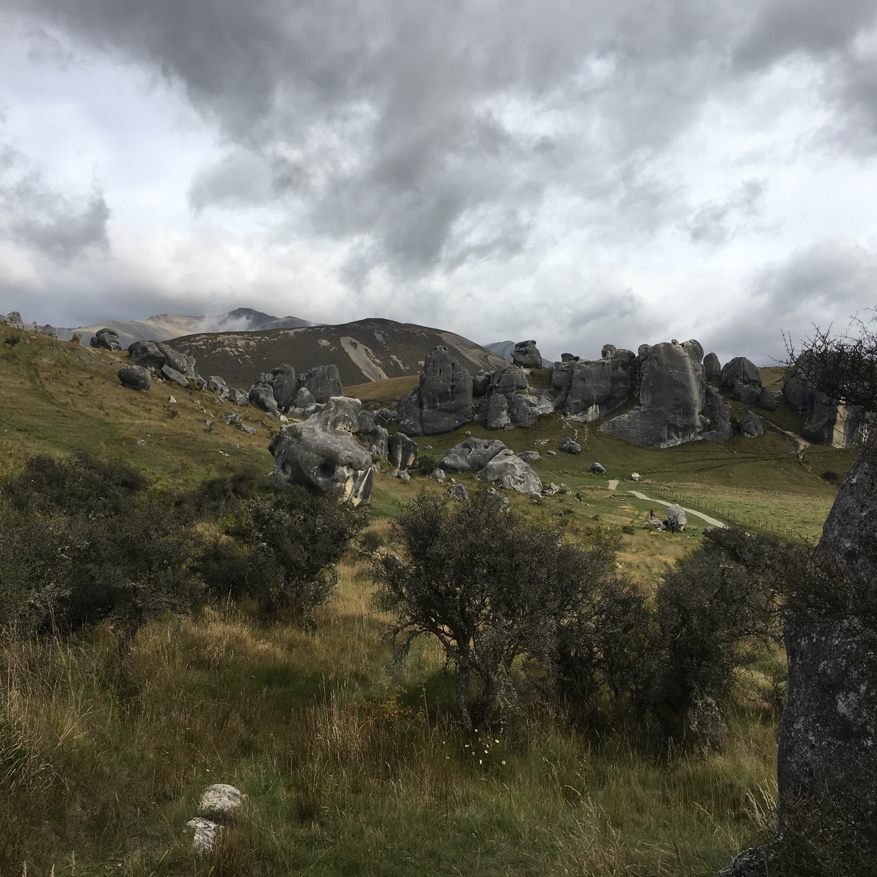 Kura Tāwhiti, Trip #64 – Critter Club – Journal