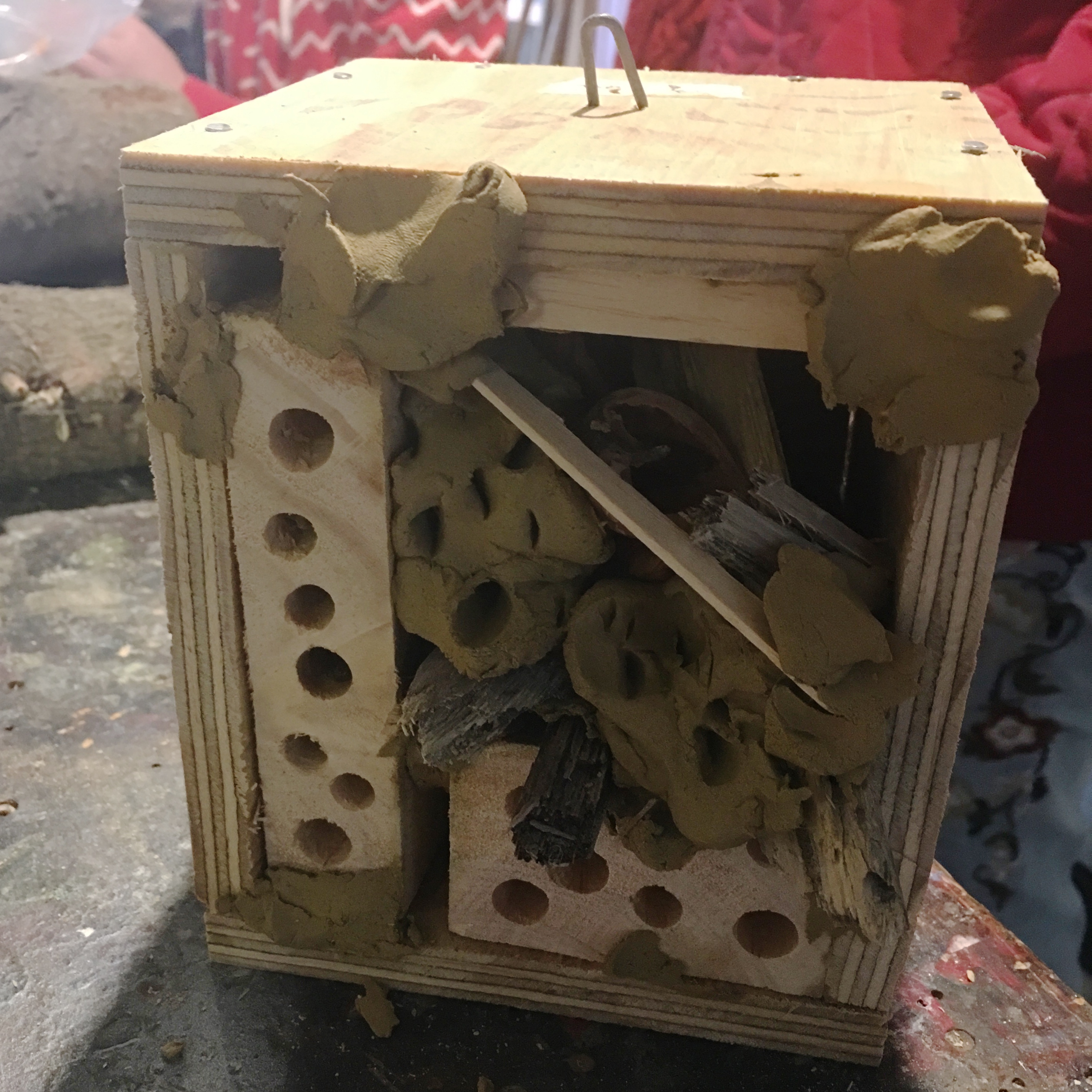 Insect Hotels, Trip #70 – Critter Club – Journal