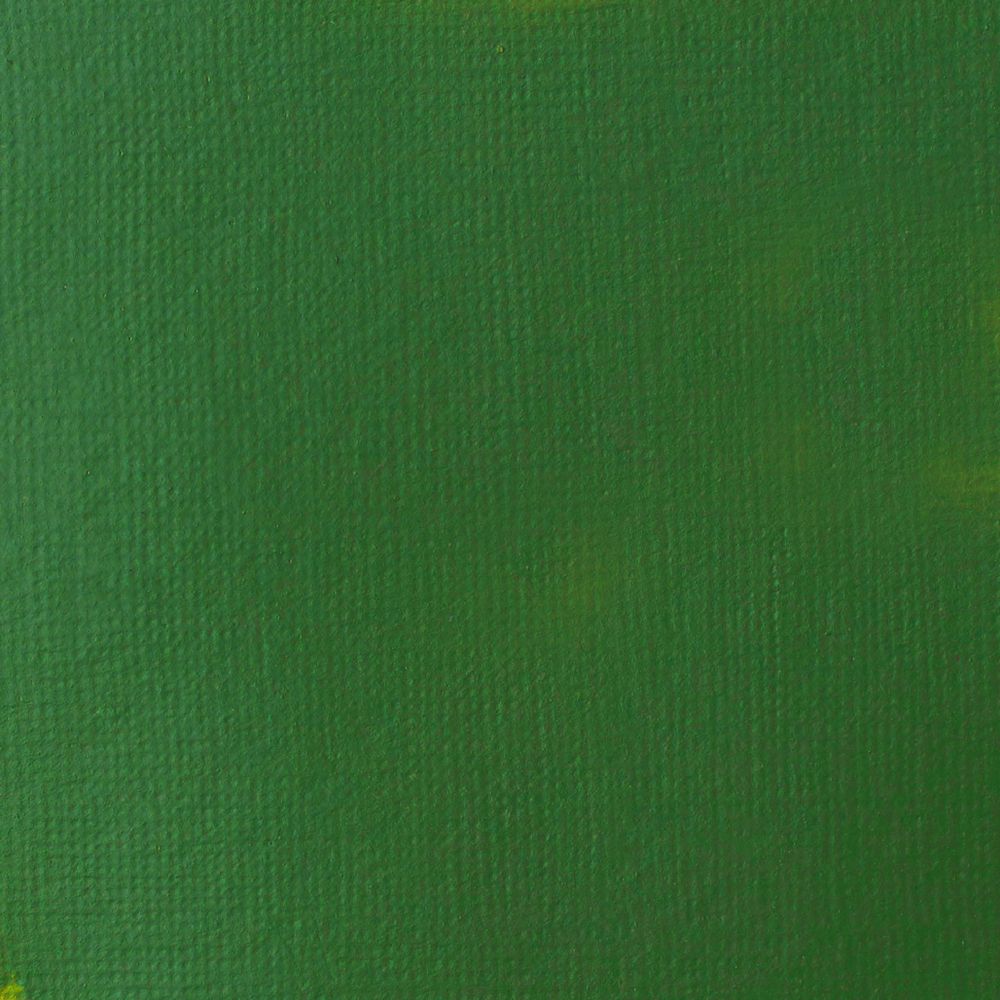 Liquitex Basics Fluid Acrylic Paint 118ml Green Hue S1 | Officeworks
