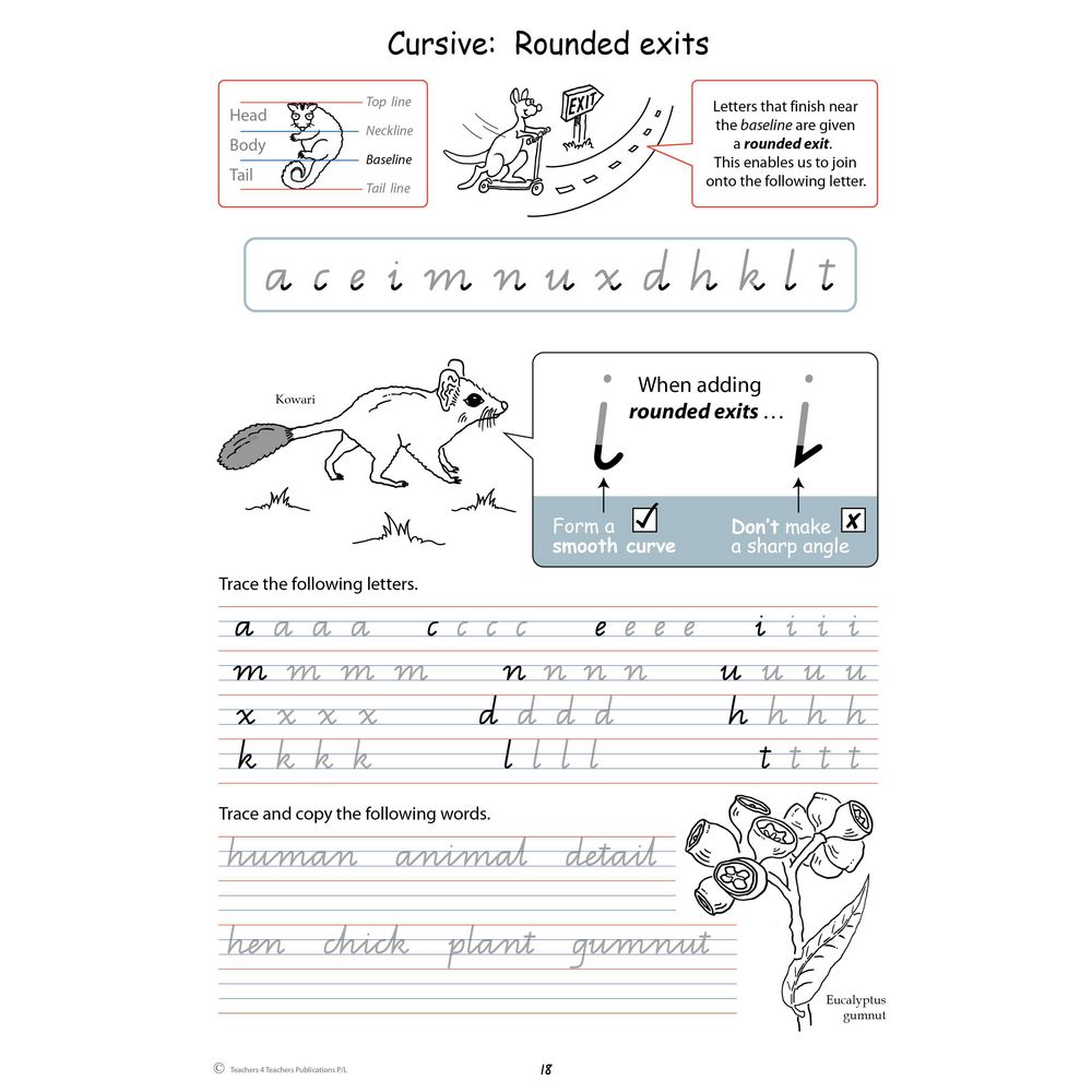 Handwriting Worksheets Queensland Cursive Handwriting Conventions