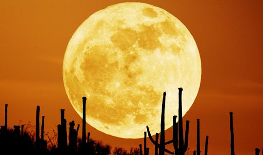 Super Harvest Moon: Phenomenon is a rare treat | WeatherWatch - New ...