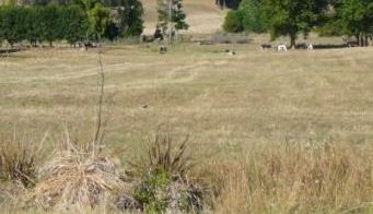 Top 10 Most Extreme Environments | WeatherWatch - New Zealand's Weather ...